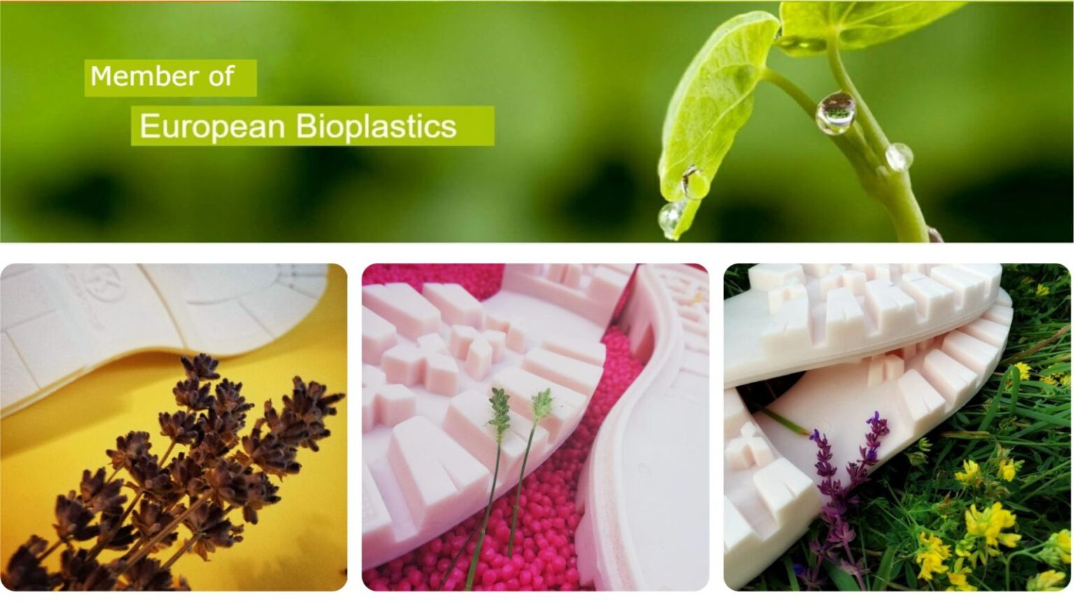 KIK Compounds officially joins European Bioplastics - KIK COMPOUNDS